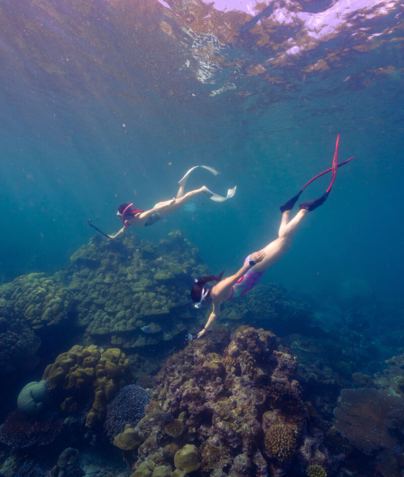 시밀란 리브어보드투어 "Similan Liveaboard" - 메르다이빙